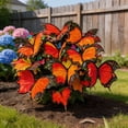 Midnight Blue Hosta-Home Garden For Planting Now-Premium Garden Stakes ...
