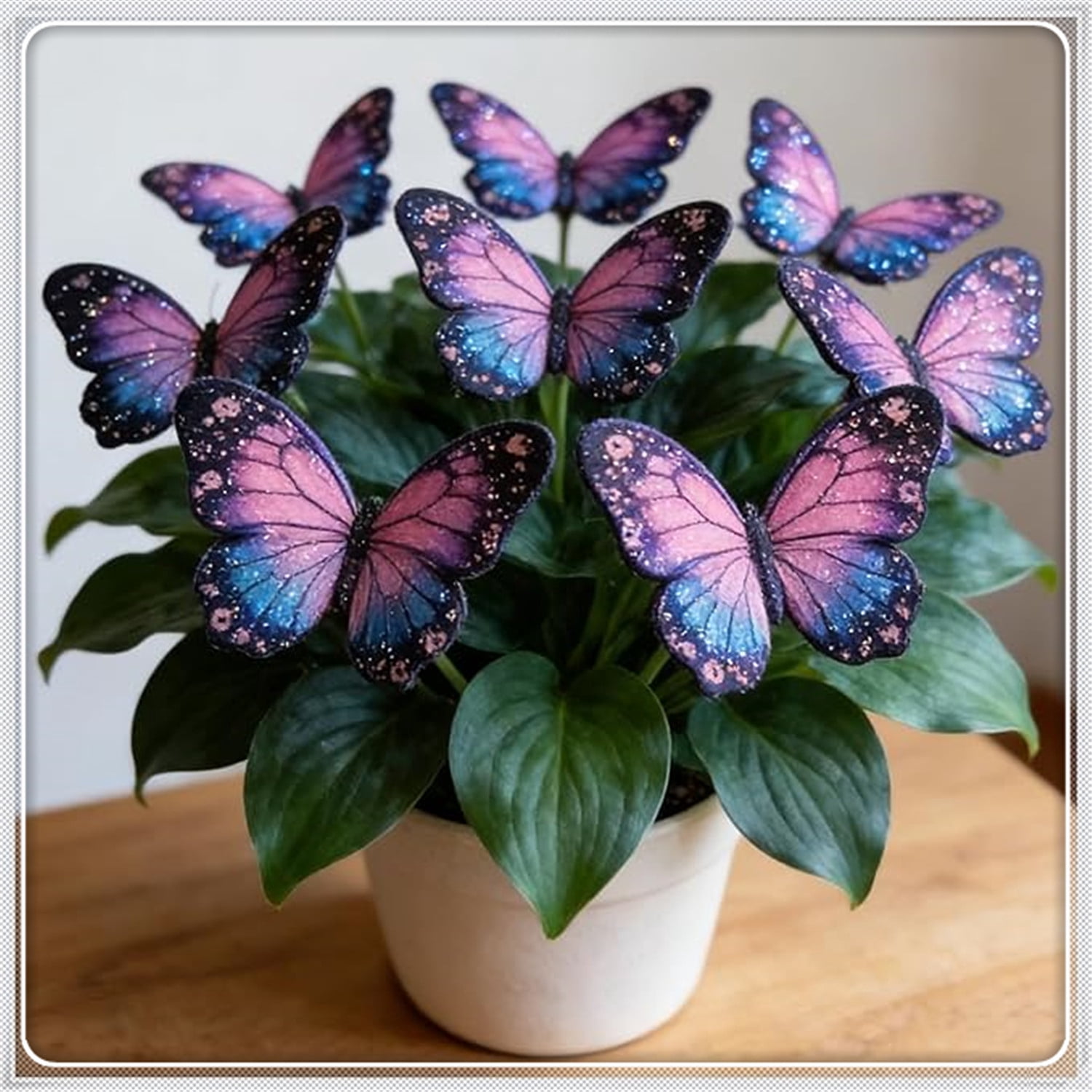 Midnight Blue Hostas for Planting-(Non-Artificial)-Easy to Grow & Quick ...