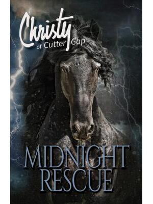 Midnight Rescue - Walmart.com