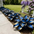 Midnight blue heart hosta-Bulbs For Planting - Premium Garden Stakes ...