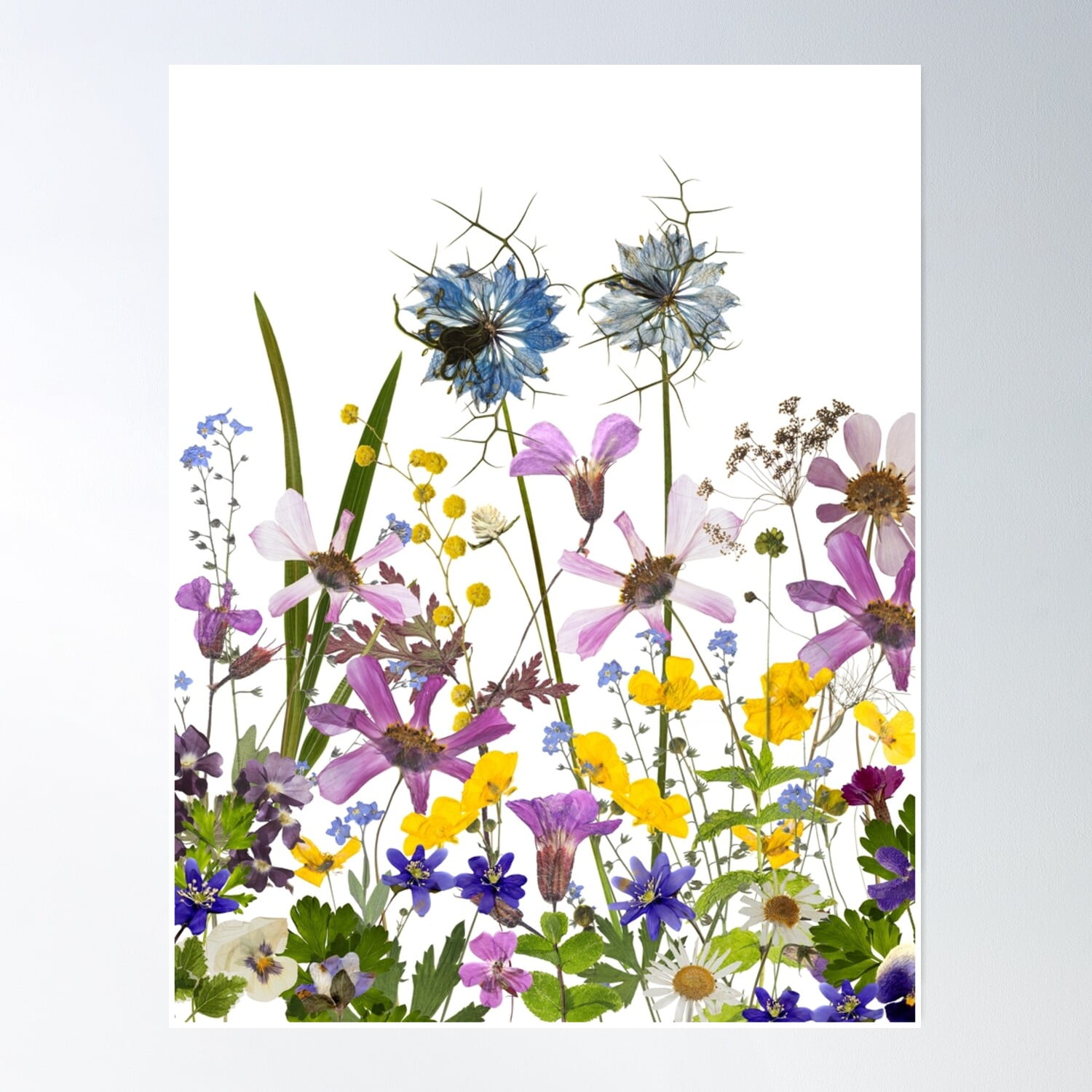 Midsummer Botanical Wildflower Meadow Botanical Garden Ii Poster Wall ...