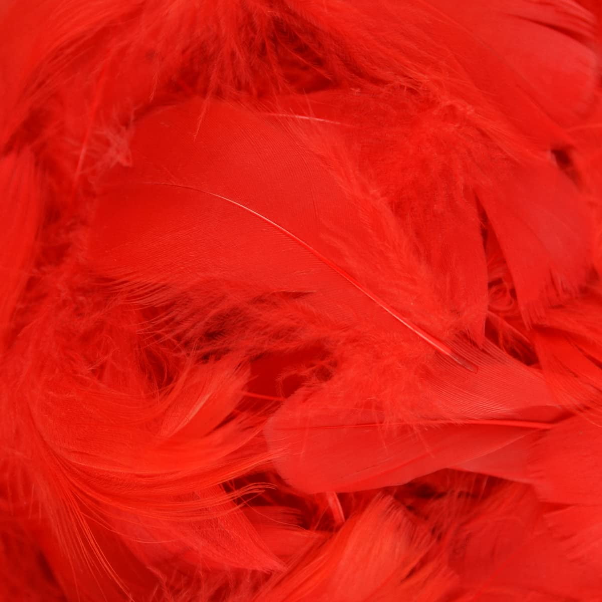 Midwest Design Feather Goose Satinette Red .25oz - Walmart.com