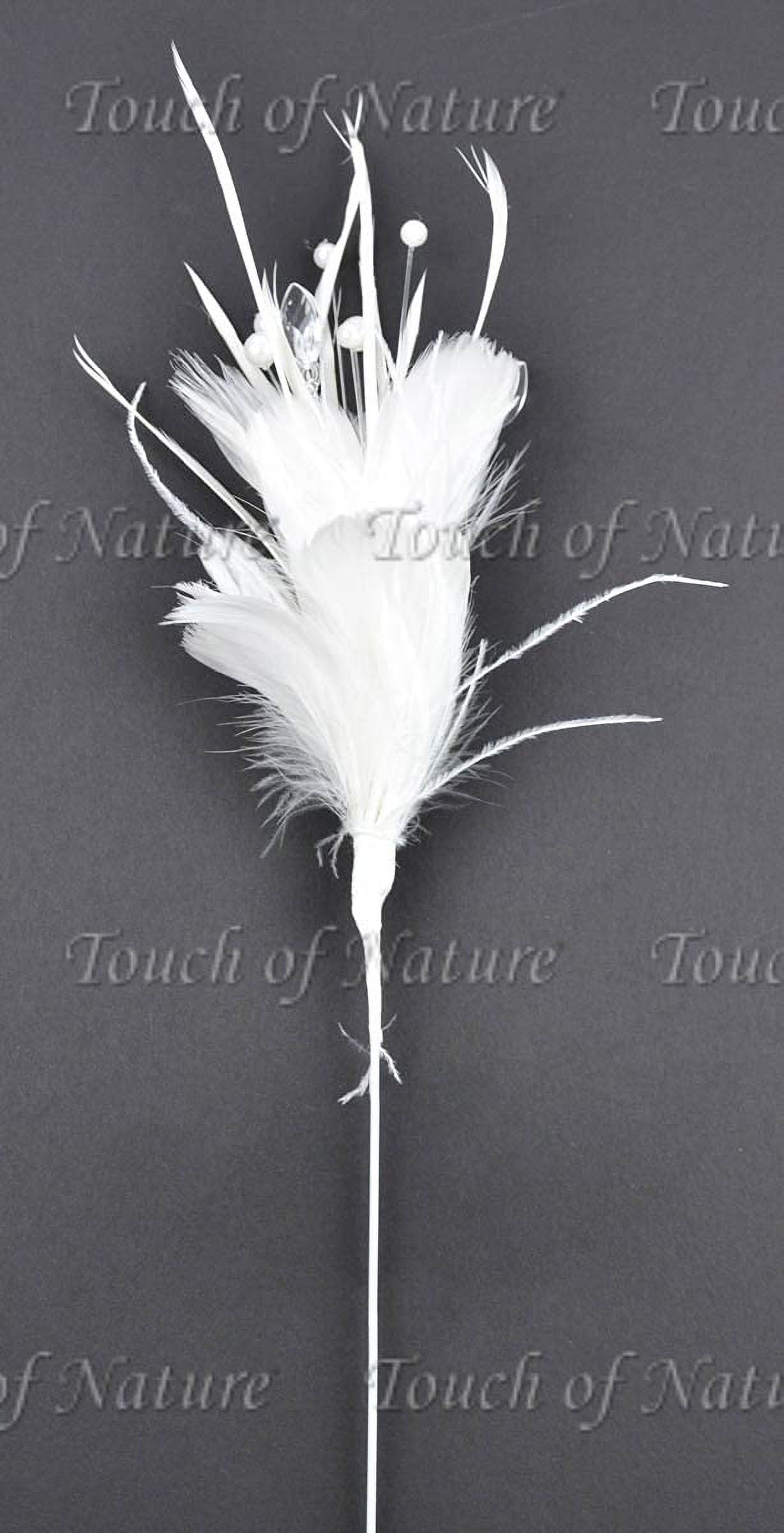 Midwest Design Imports Fancy Fluffy Feather Stem, 22", White (38788 ...
