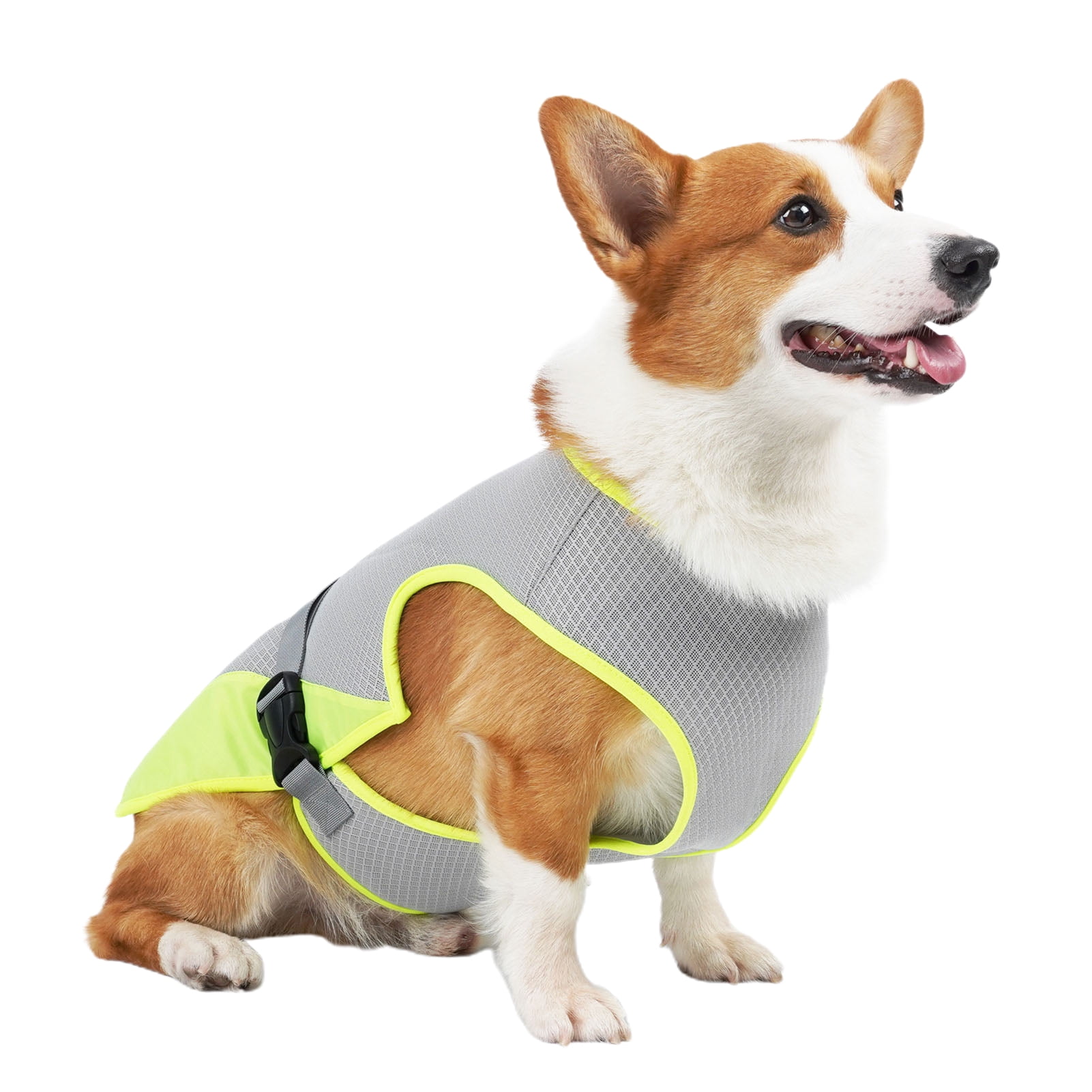 Mightlink Dog Vest Exquisite Edging Adjust Buckle Mesh Fabric Well ...