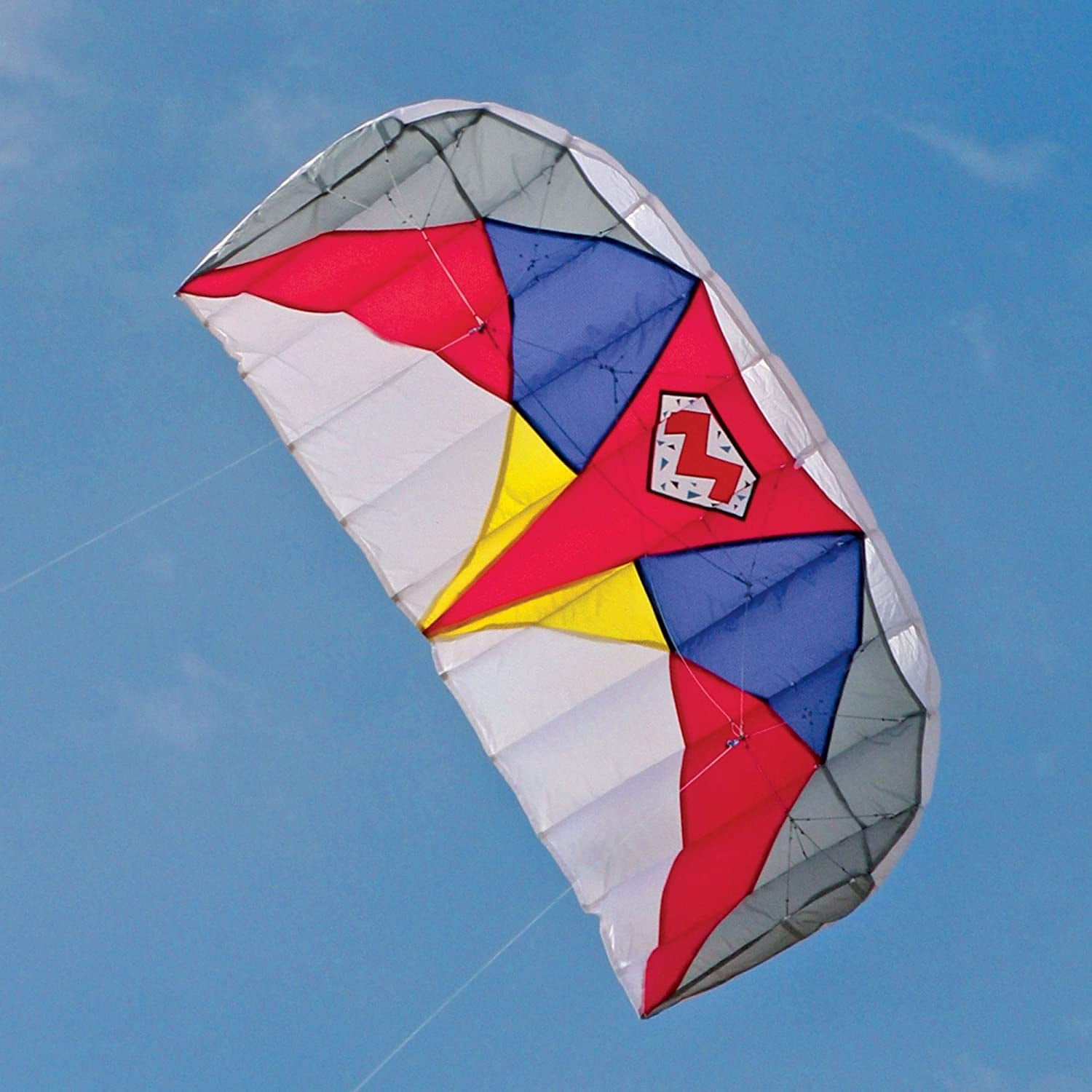 Mighty Bug 1.0 Dual line Airfoil Stunt Kite - Walmart.com