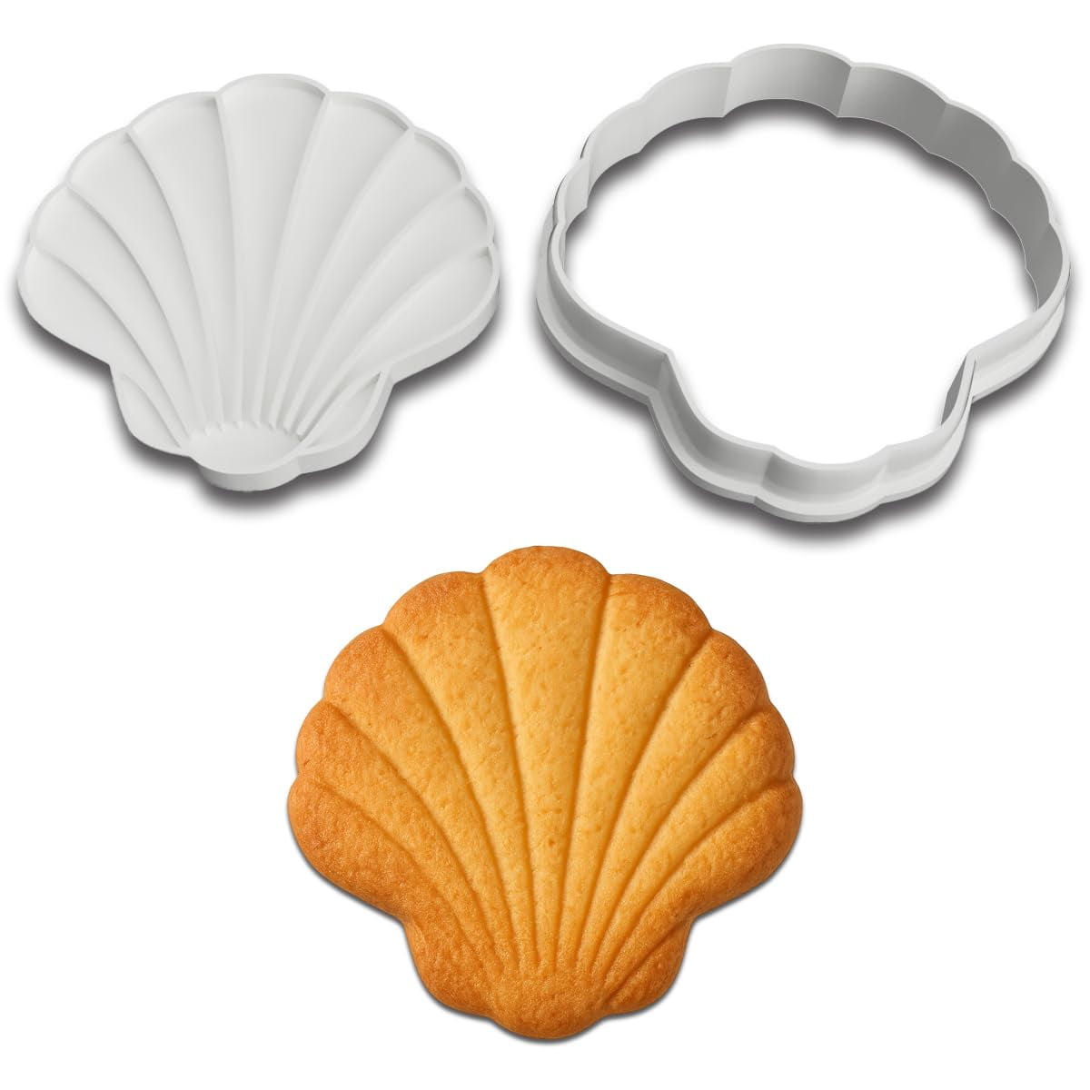 Mighty Gadget Seaside Scallop Seashell Cookie Cutter & Stamp Set - 3.75x3.75 Inches, Ocean ...