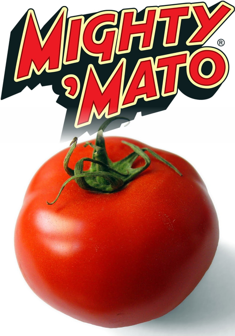 Mighty 'Mato Grafted Big Beef Tomato Plant - 4" Pot - Walmart.com