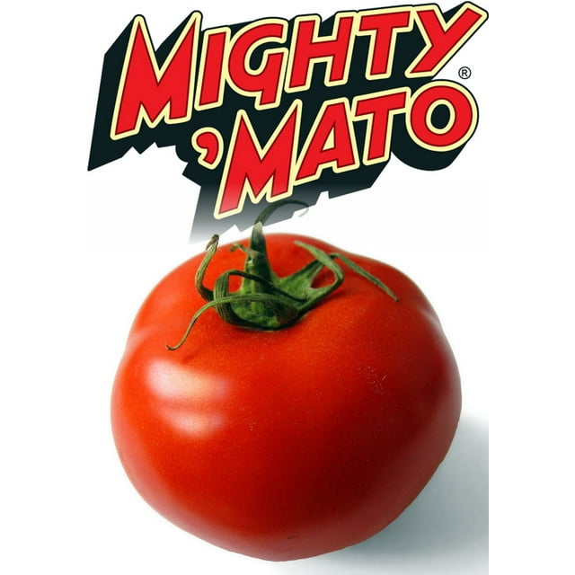 Mighty 'Mato Grafted Big Beef Tomato Plant - 4" Pot - Walmart.com