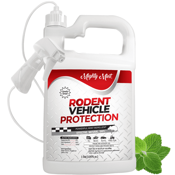 Car Insecticide
