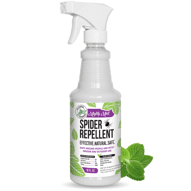 Mighty Mint Natural Spider Repellent & Killer - Essential Peppermint ...