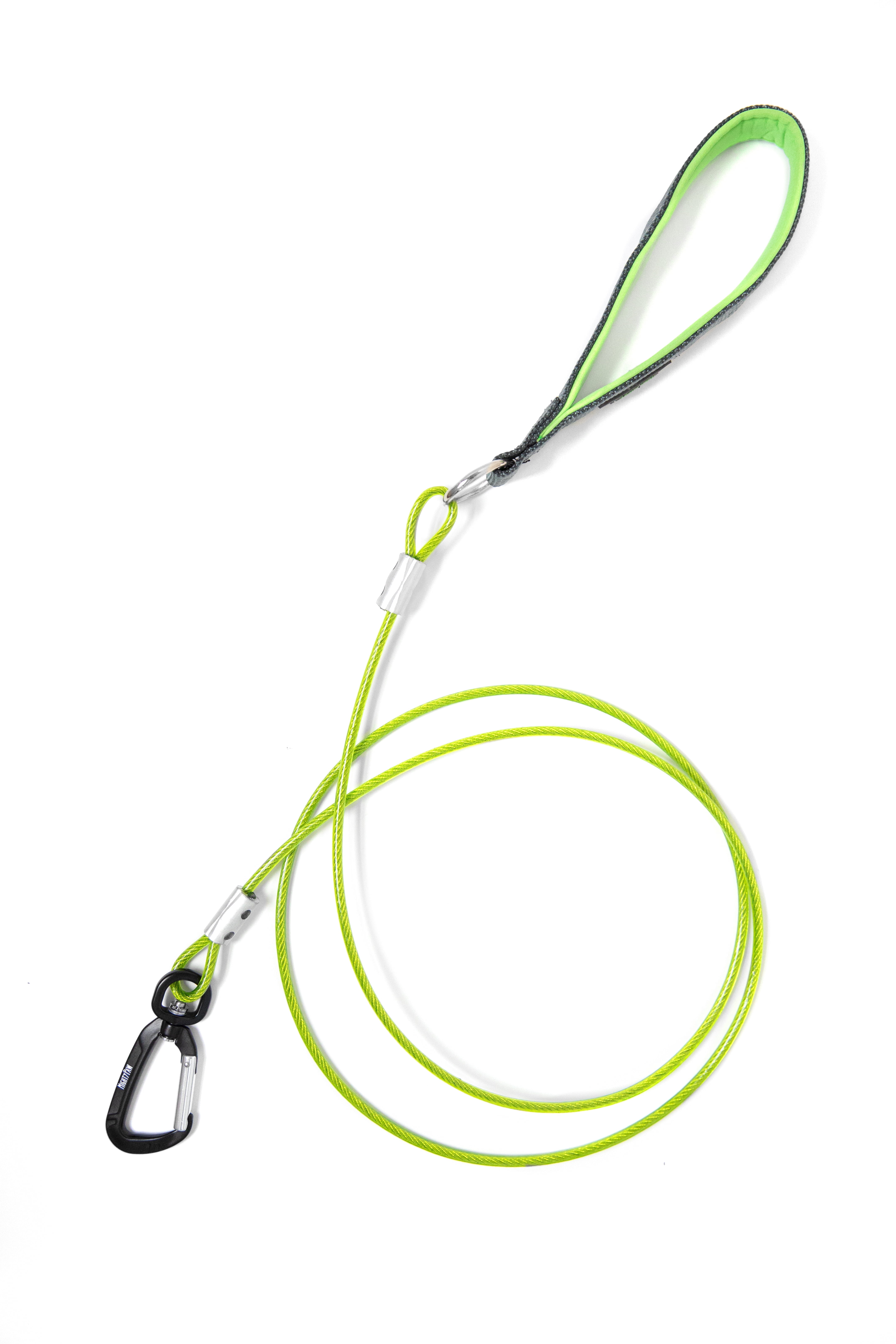 Mighty Paw Six Foot Metal Cable Dog Leash with Padded Handle, Green ...