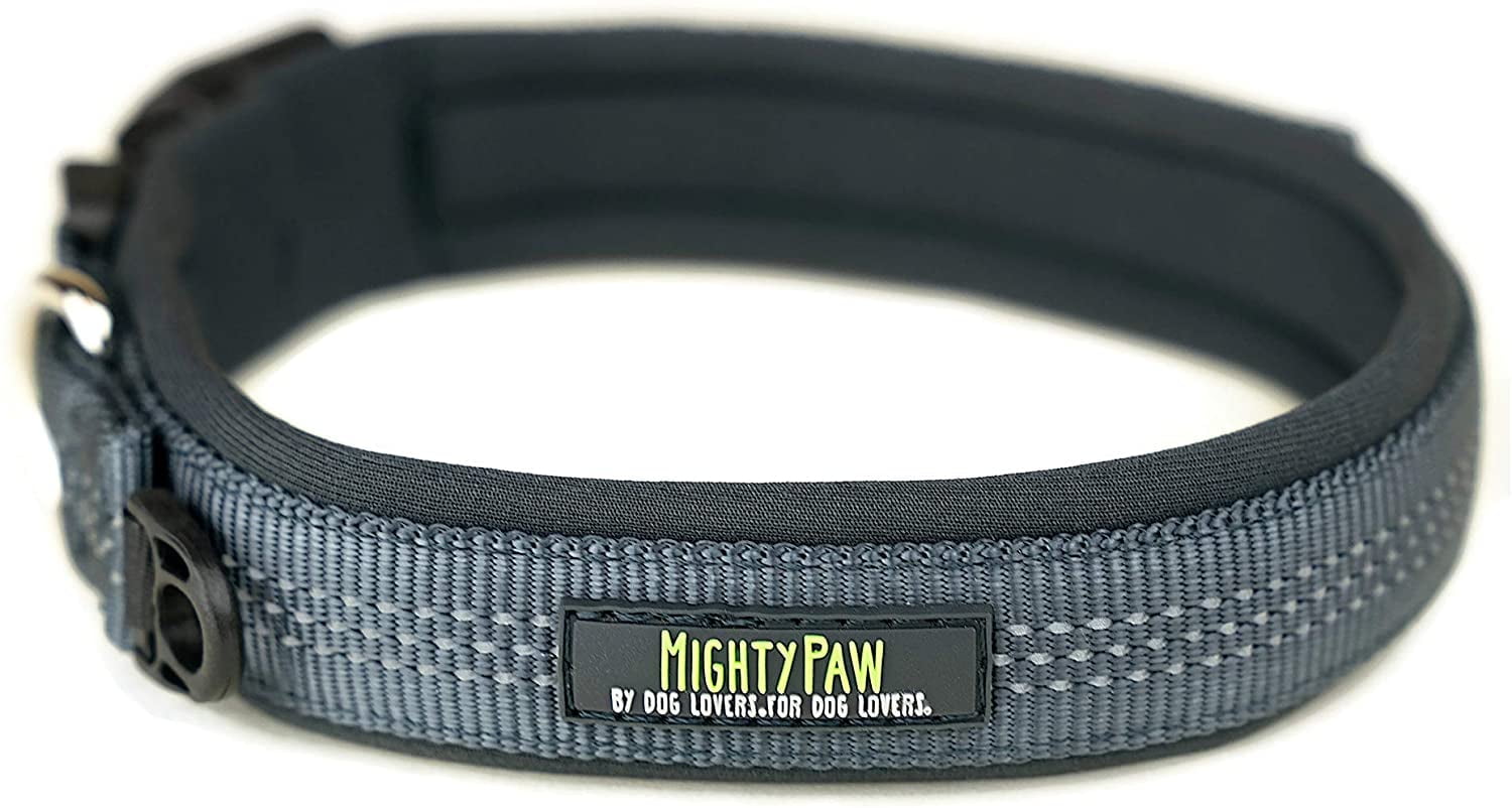 Mighty Paw Neoprene Padded Dog Collar, Reflective Stitching, Adjustable ...