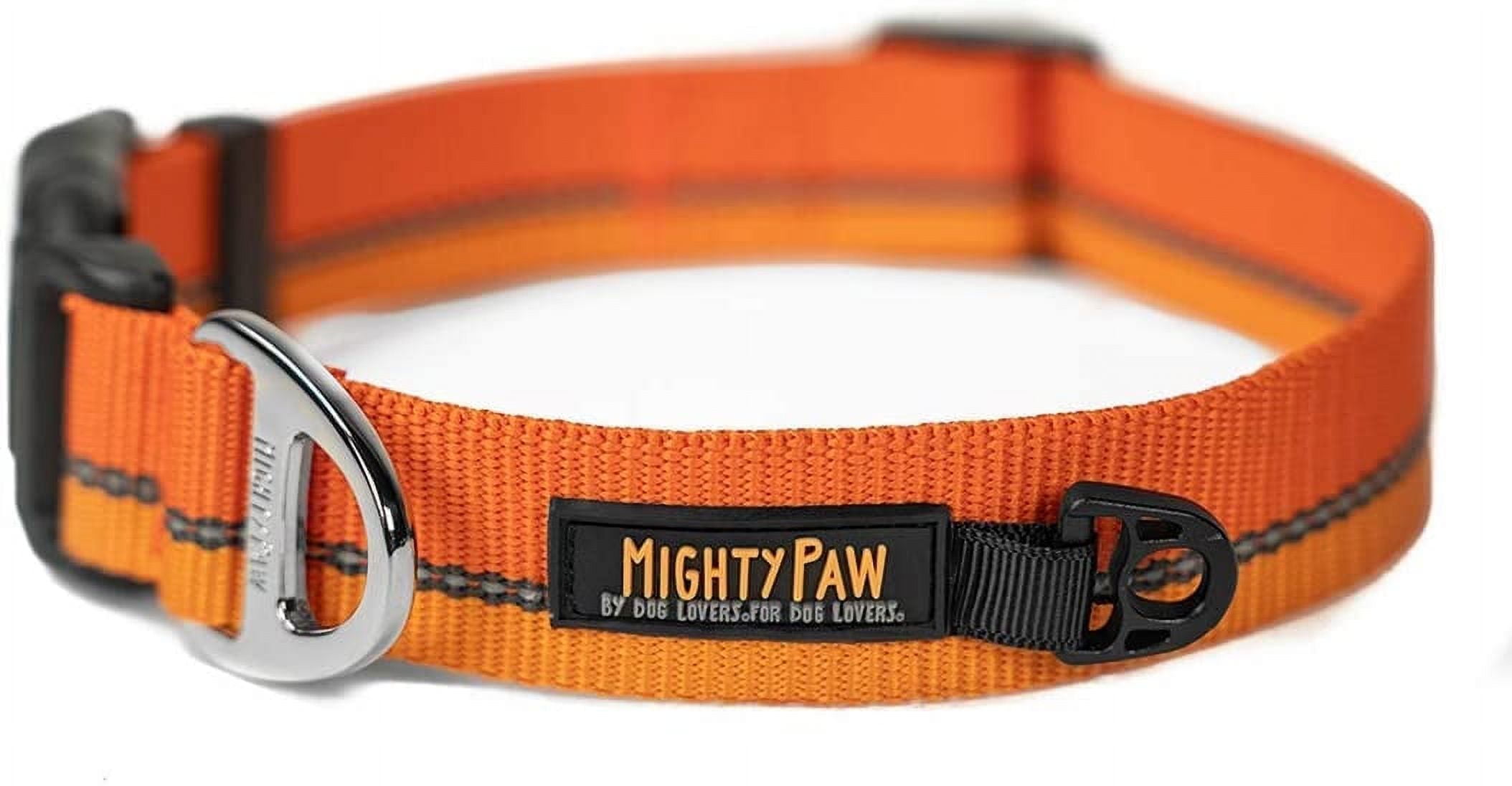Mighty Paw Reflective Dog Collar, Heavy-Duty Weatherproof Pet Collar ...