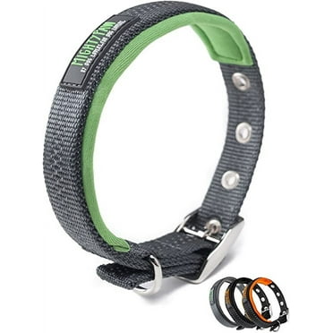 Genuine Real Leather Padded Dog Collar 1.5" Width Heavy Duty for Medium ...