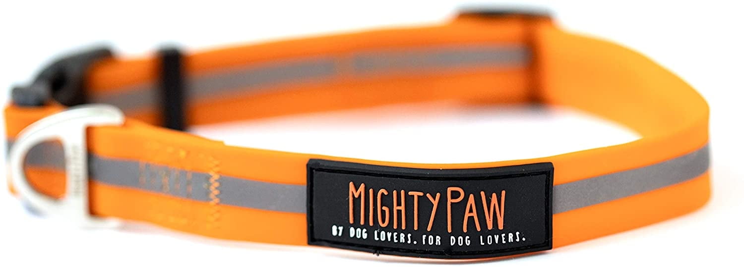 Mighty Paw Waterproof Dog Collar, Smell-Proof Active Dog Gear, Coated ...