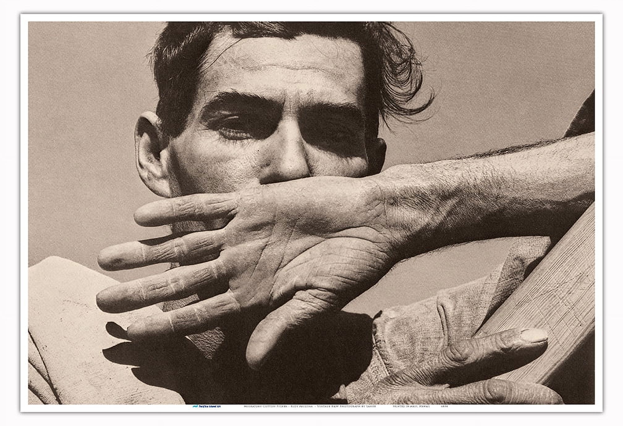 Migratory Cotton Picker - Eloy, Arizona - Vintage B&W Photograph by ...