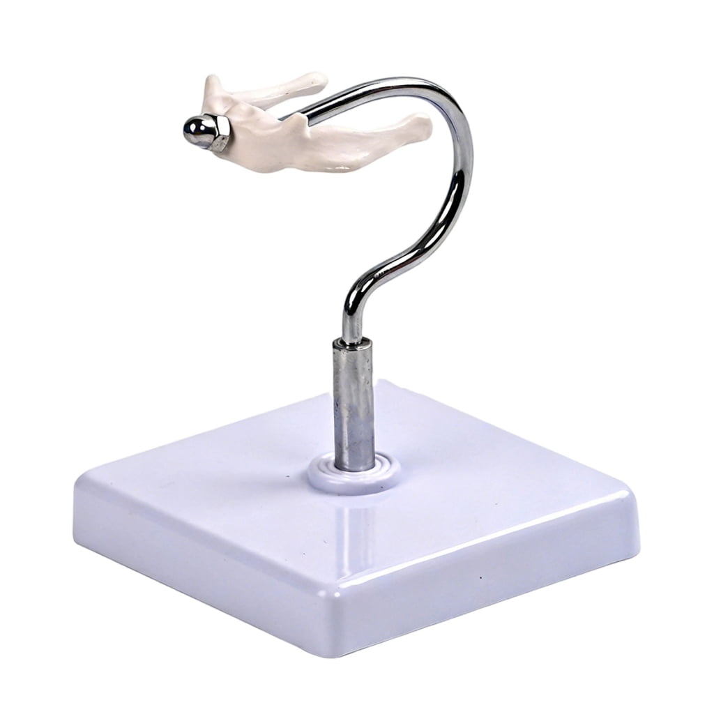 Miiottaa Accurate Hyoid Bone Model For Enhancing Patient Communication ...