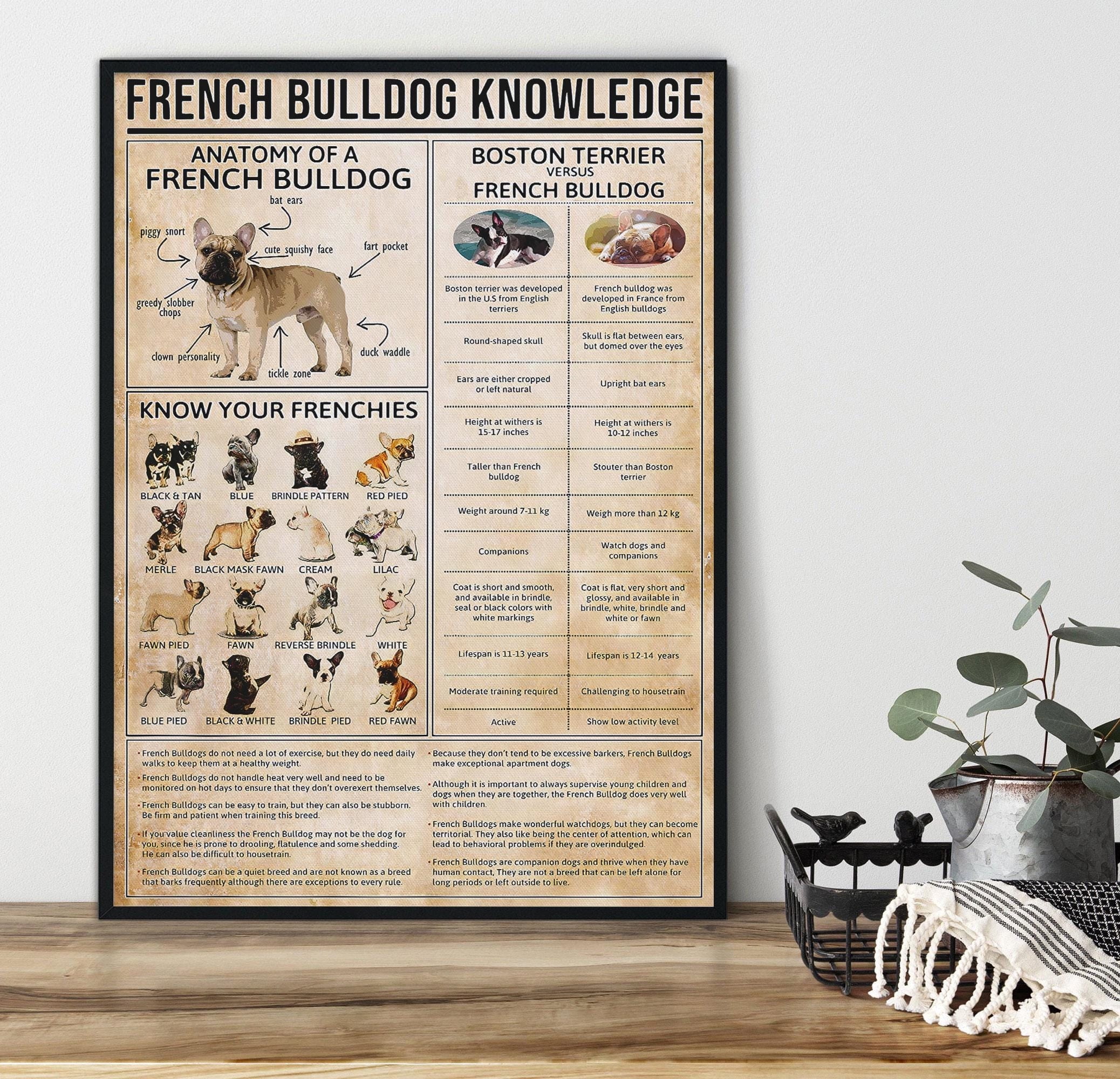 MikaMY French Bulldog Anatomy Poster, Dog Breed Art Poster, Boston ...