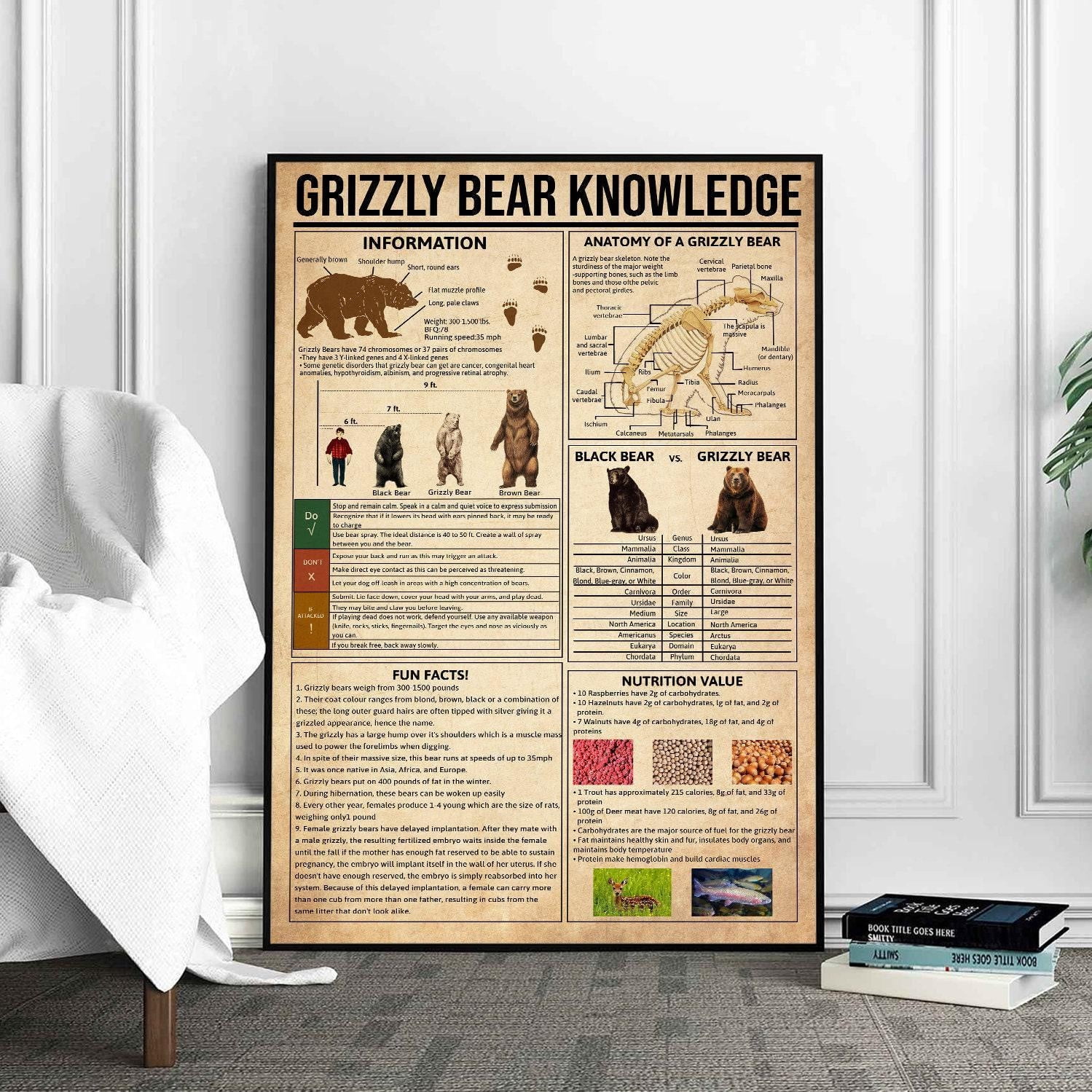 MikaMY Grizzly Bear Knowledge Poster: Anatomy & Facts Art Print ...