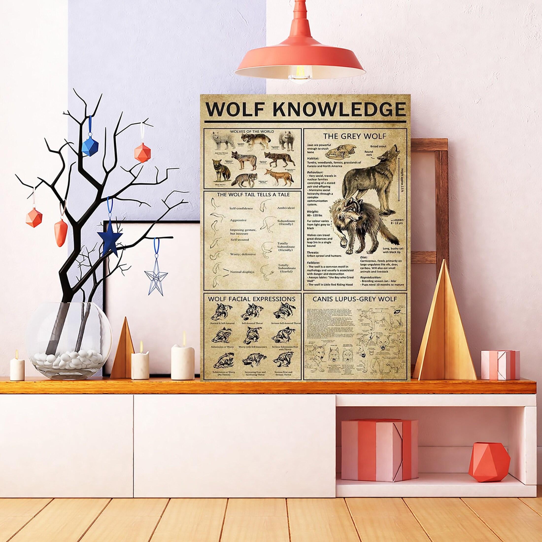 MikaMY Unframed Wolf Knowledge Poster, Grey Wolf Anatomy and Behavior ...