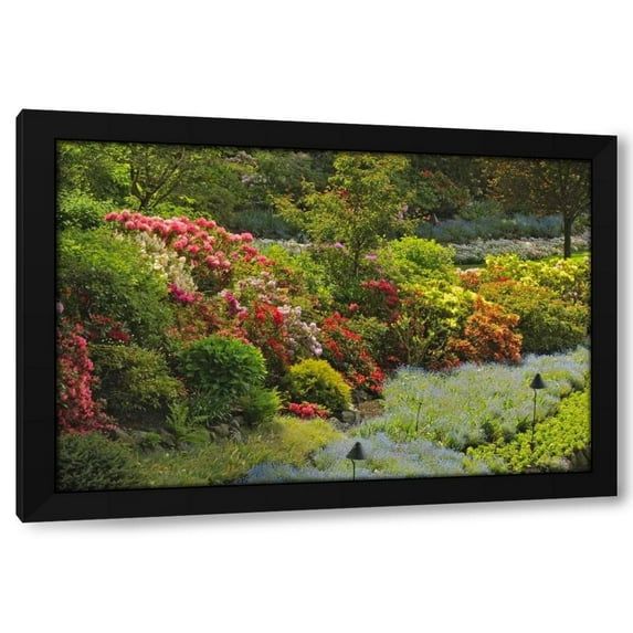 Mike Grandmaison 14x11 Black Modern Wood Framed Wall Art Titled ...