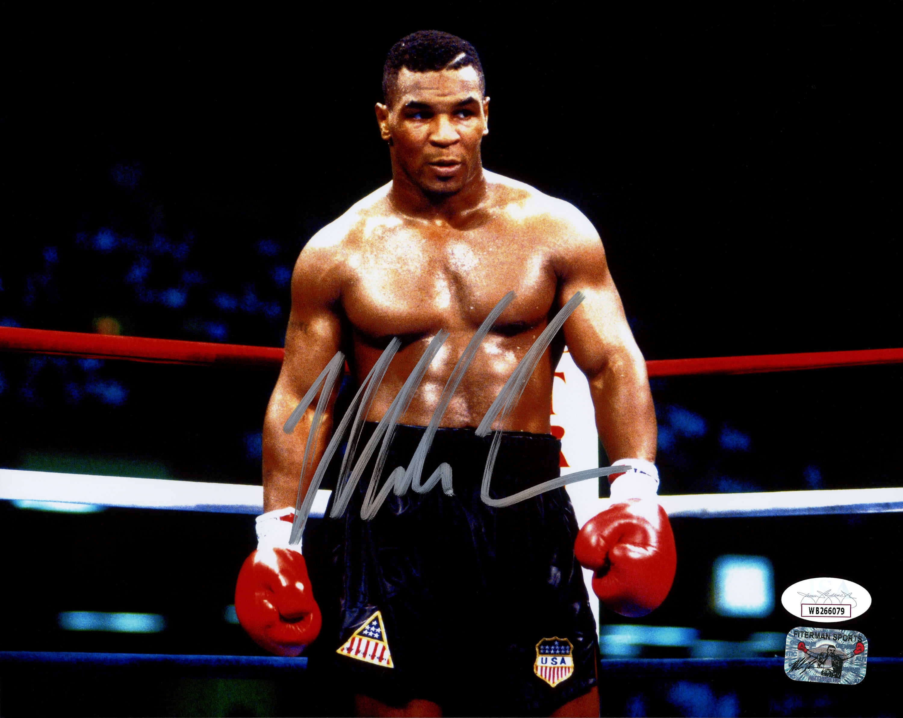 Mike Tyson Autographed 8x10 Photo JSA Witness 237635 - Walmart.com