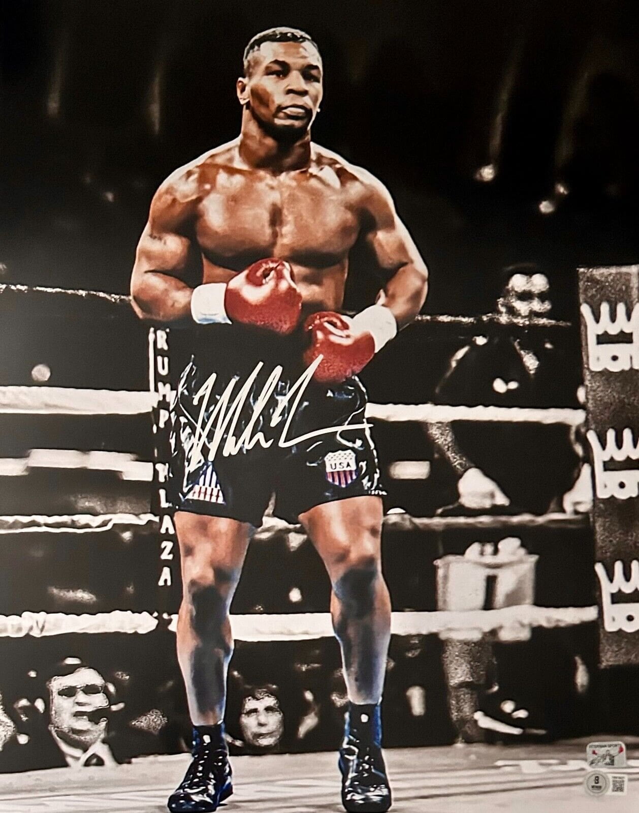 Mike Tyson Signed Autographed Photo 16x20 Beckett & Tyson Hologram Authen Edit - Walmart.com