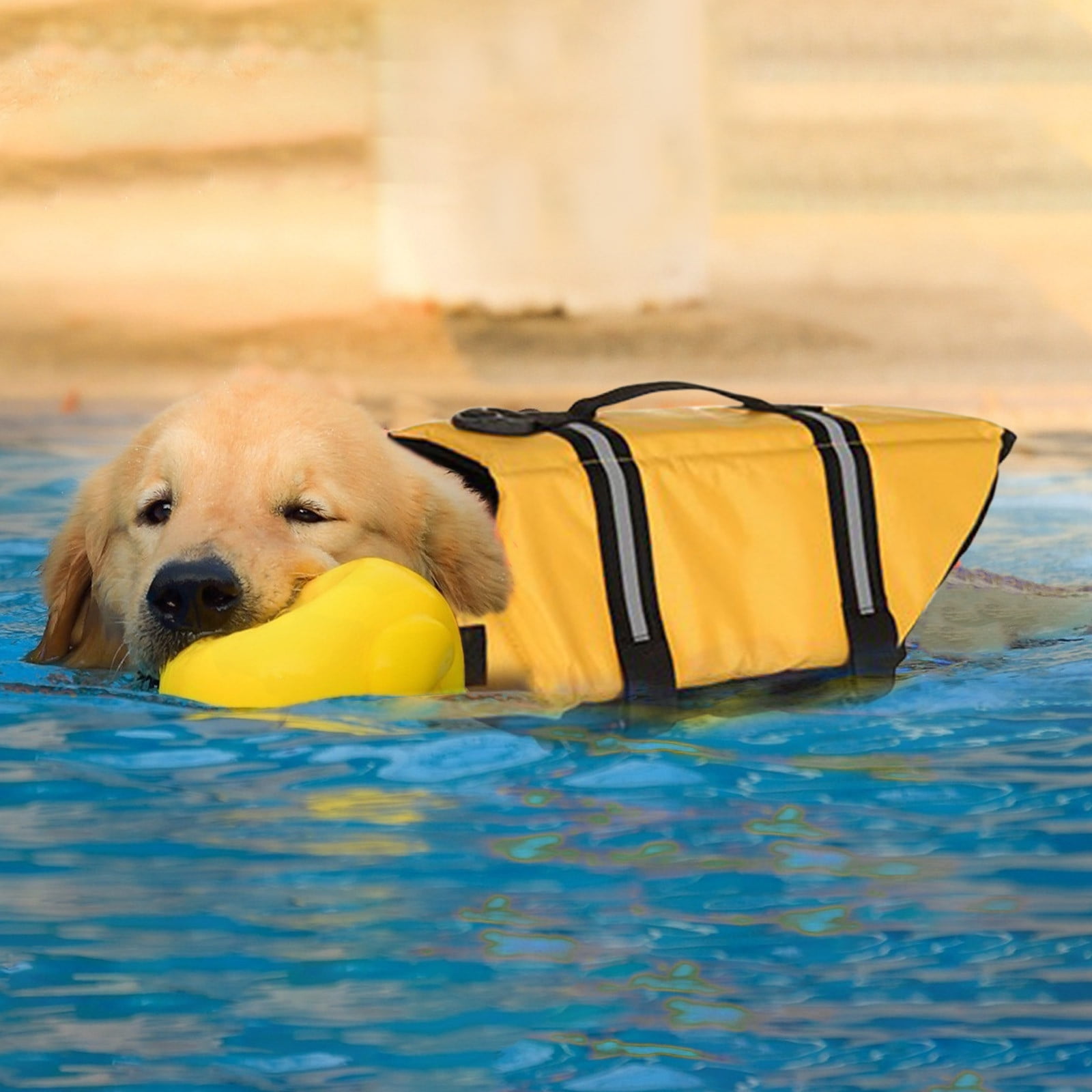 Mikilon Dog Life Vest, Dog Life Jacket With Double Rescue Handles And ...