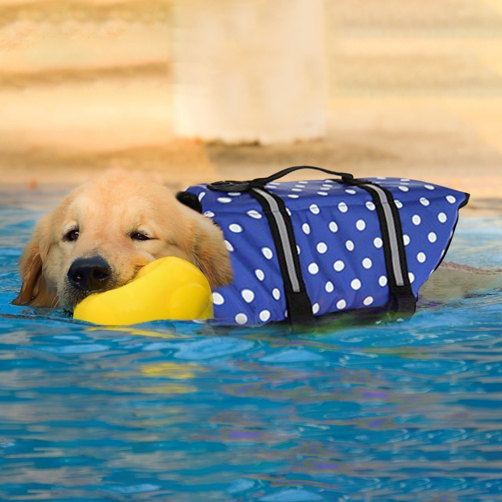 Mikilon Dog Life Vest, Dog Life Jacket With Double Rescue Handles And ...