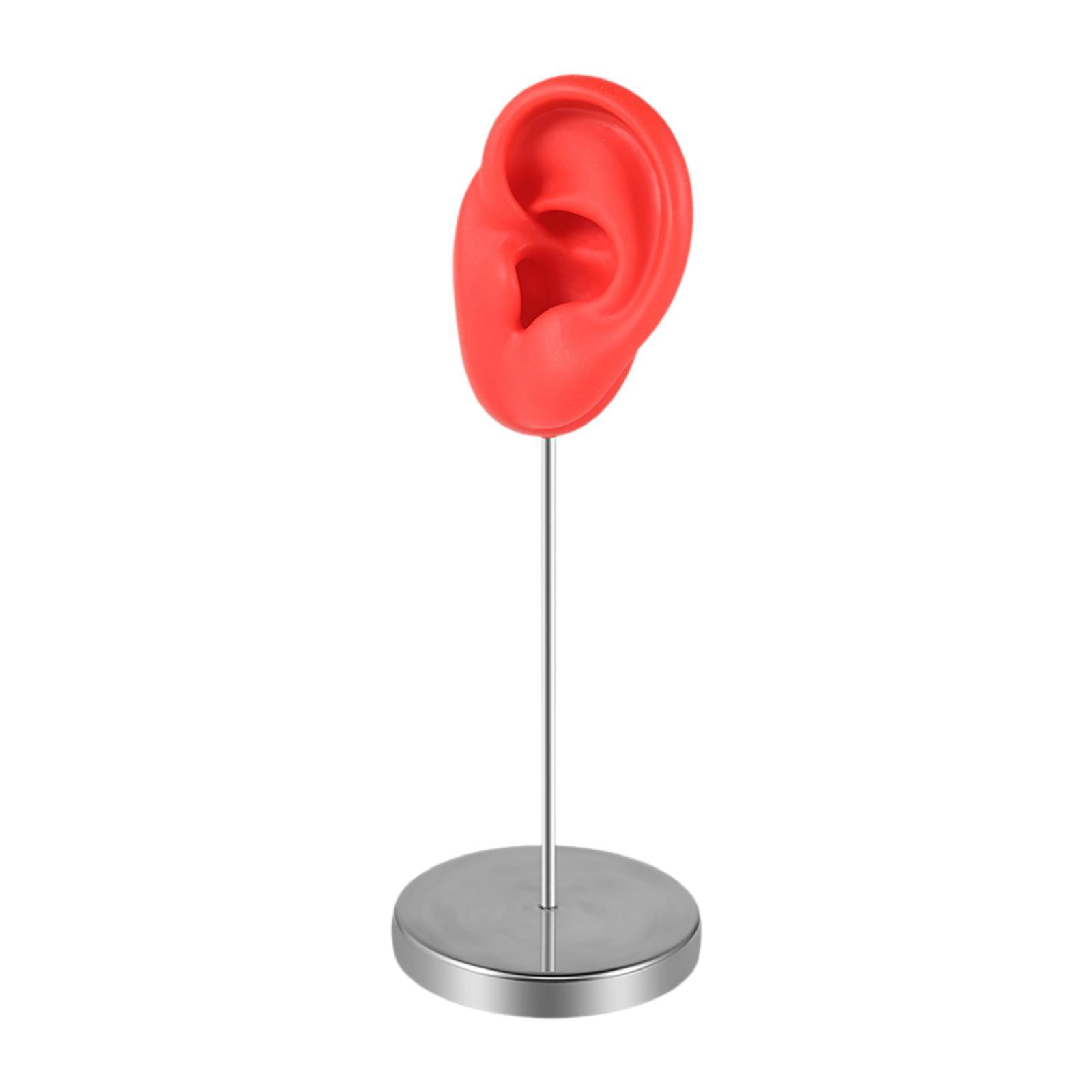 Milageto Silicone Ear Model Organizer Reusable Realistic Earring ...