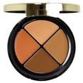 Milani Conceal + Perfect All-in-One Concealer Kit - Walmart.com