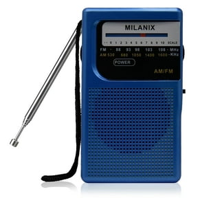 STONEGO Mini Portable Radio - Handheld Rechargeable Digital FM Radio ...