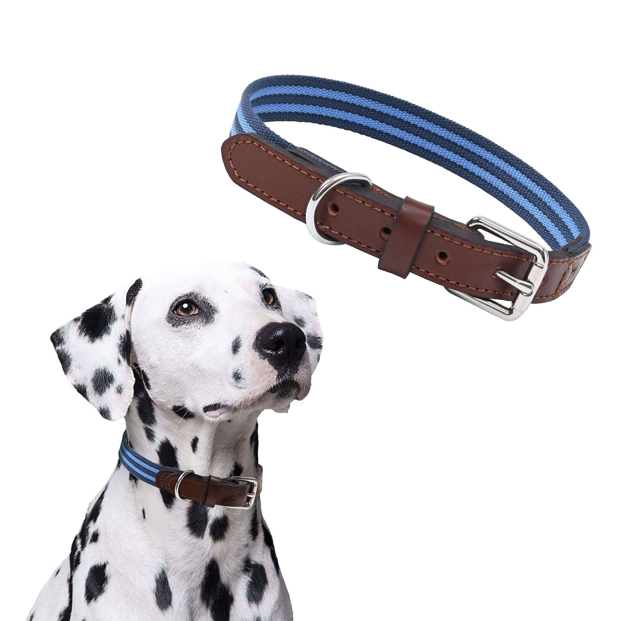 Mile High Life | Genuine Leather Dog Collar | Heavy Duty Canvas Dog ...