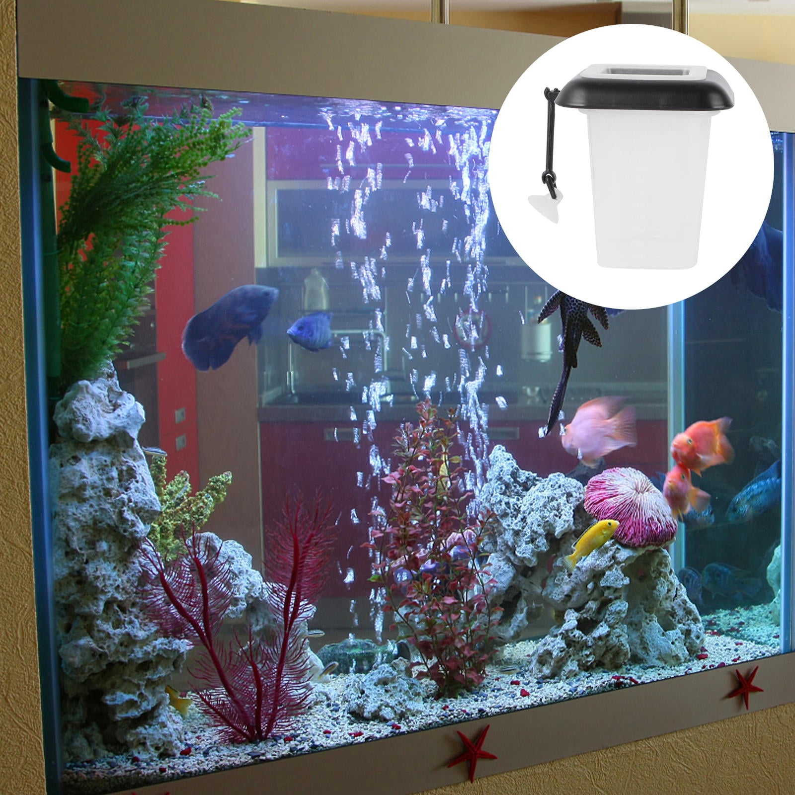 Milisten 1Pcs Floating Feeder for Aquarium Bloodworm Cone Protect Live ...