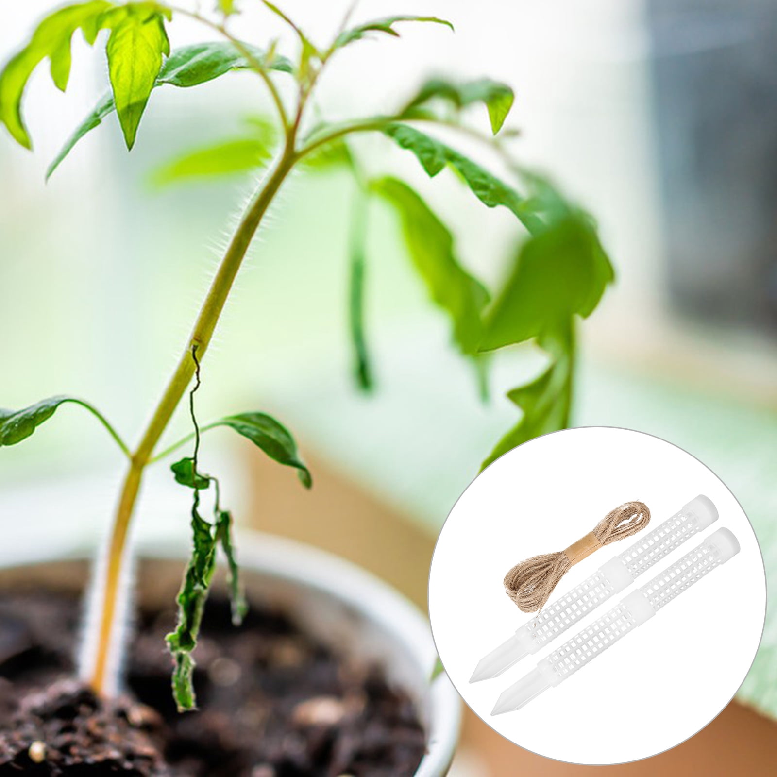 Milisten 2 Sets Plant Support Moss Poles 45.00X4.30X4.30CM White ...
