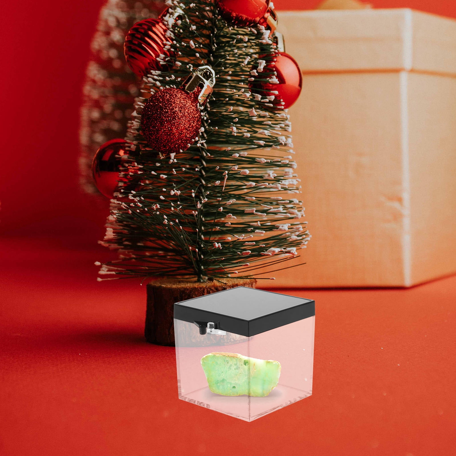 Milisten 6 Pcs Clear Specimen Case Mineral Transparent Display Box ...