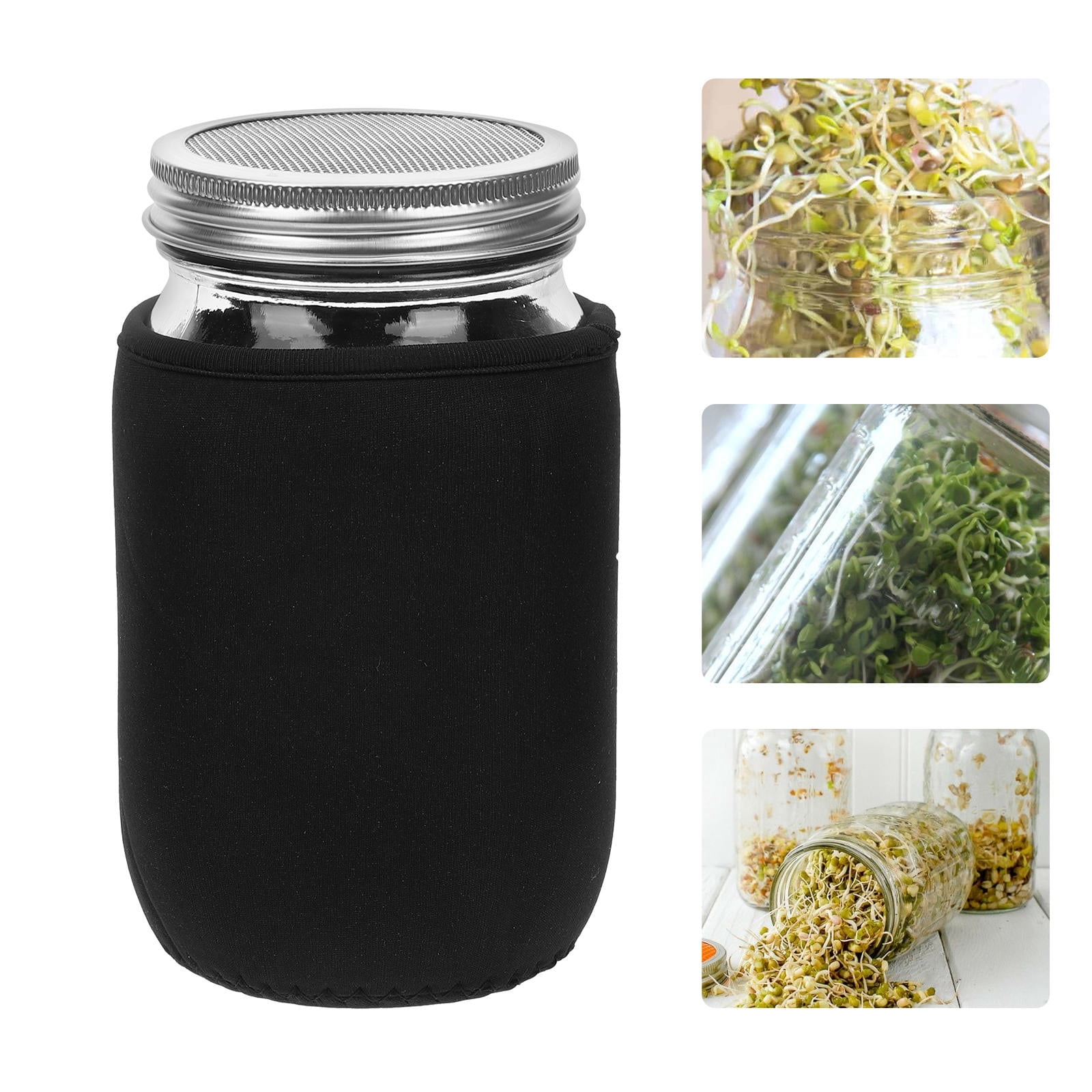 Milisten Germination Jar Kit Black Plants with Handle Transparent ...