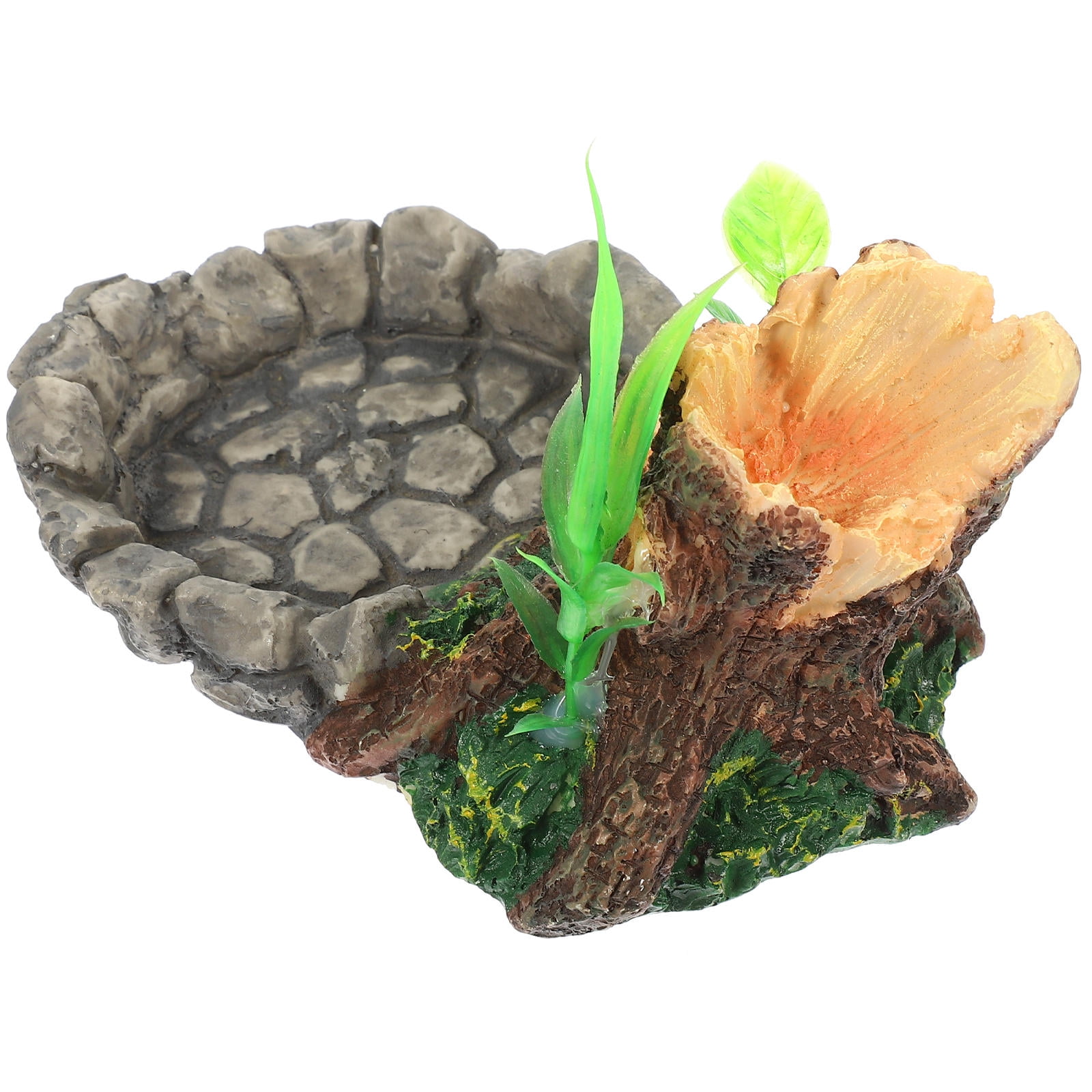 Milisten Natural Feeding Ledge Reptile Lizard Food Dish Chameleon Water ...