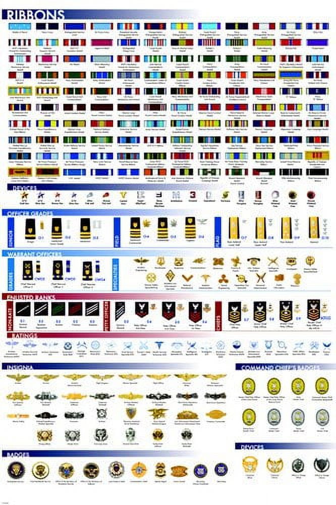 Military Facts Chart Poster Ribbons Insignia Badges 24 x 36 - Walmart ...