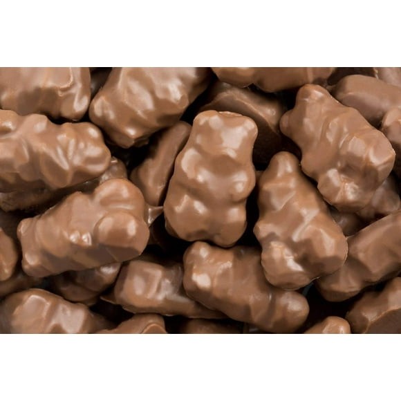 Chocolate Covered Gummy Bears