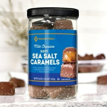 Sanders Specialty Gourmet Dark Chocolate Covered Sea Salt Caramels ...