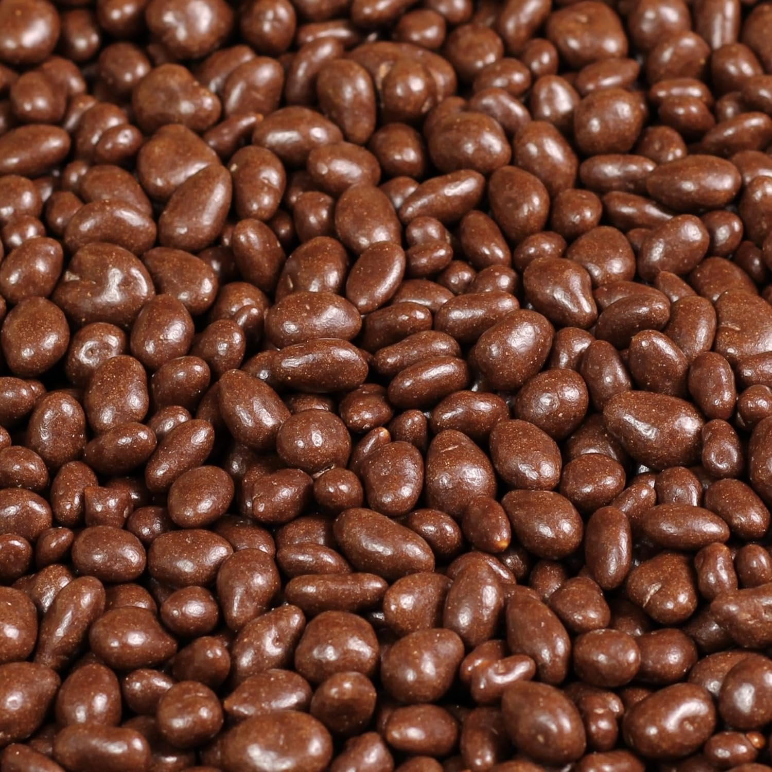 Milk Chocolate Toffee Coated Sunflower by It's Delish, 2 lbs Bulk Bag ...