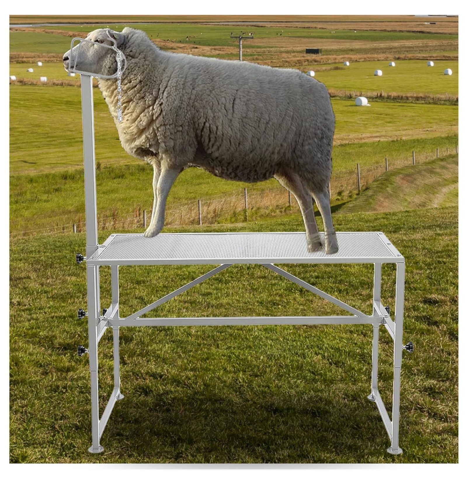 Milking Stand 51x23 Inches, Trimming Stand for Goats, Adjustable ...