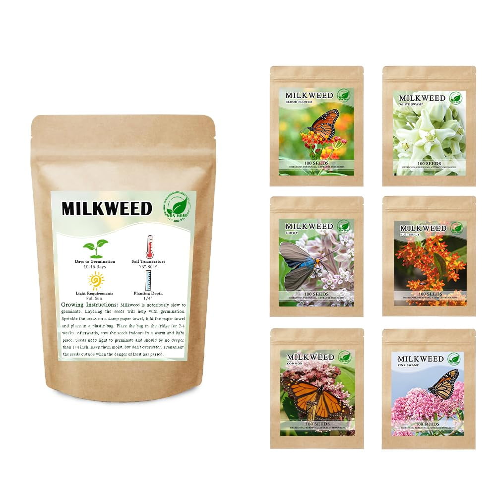 Milkweed Seeds forUMRT Monarch 6 Pack of 200 Seeds Heirloom Untreated Wildflower Seed Pink Swamp ...