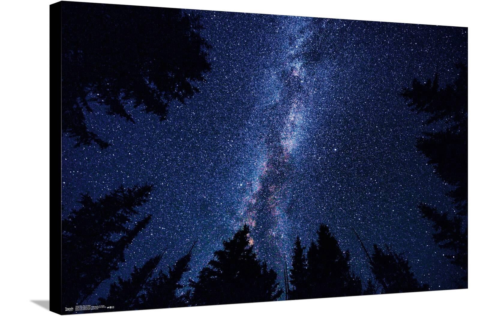 Milky Way At Night Canvas Wall Poster, 22.375" x 34" - Walmart.com