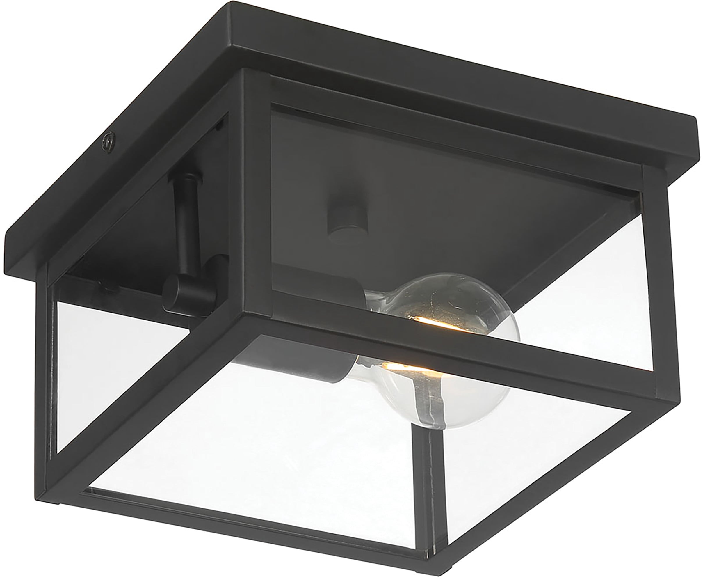Millennium Lighting 4201 Evanton 8" Wide Flush Mount Ceiling Fixture ...