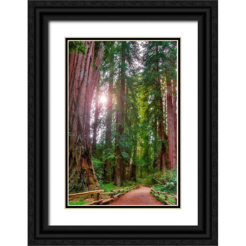 Miller, Anna 13x18 Black Ornate Wood Framed with Double Matting Museum ...