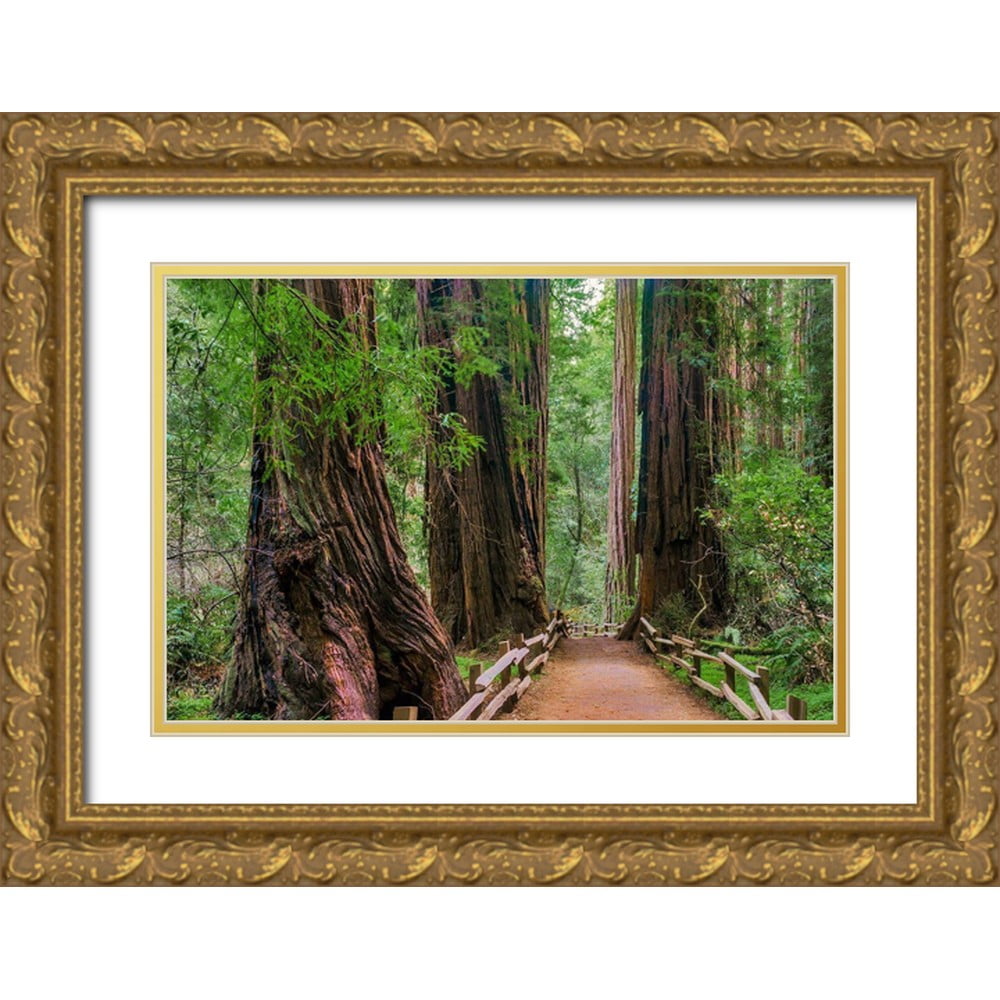 Miller, Anna 14x11 Gold Ornate Wood Framed with Double Matting Museum ...