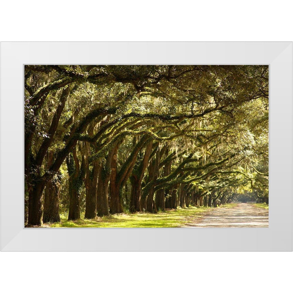 Miller, Anna 14x11 White Modern Wood Framed Museum Art Print Titled ...