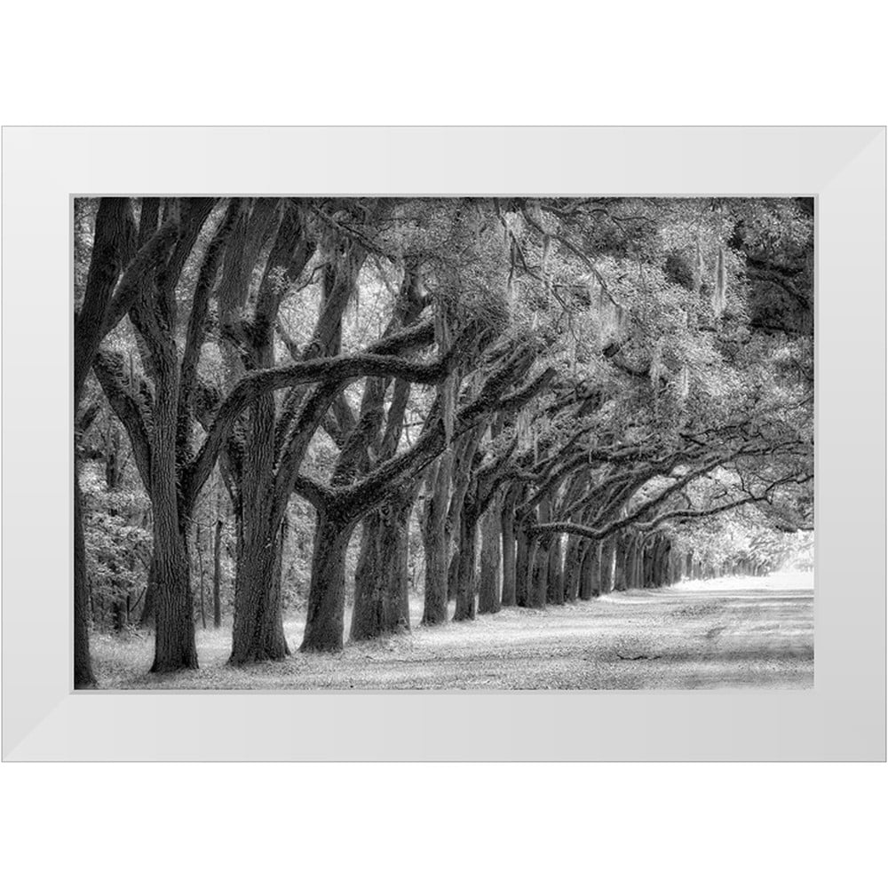 Miller, Anna 14x11 White Modern Wood Framed Museum Art Print Titled ...